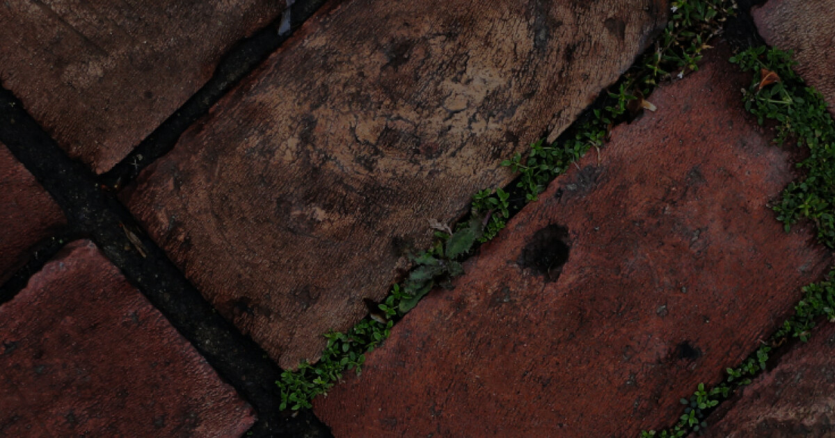 Giving | Trinity Community Church - Evangelical, Reformed, Bible-based Church