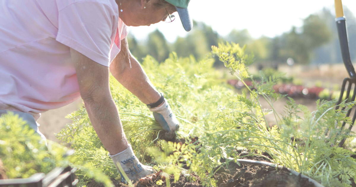Bellingham – Serve – The Community | CTK | Christ the King Community Church
