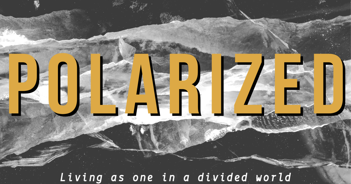 Polarized, Part 7: Losing Sight of Our Differences | Sermons | CTK ...