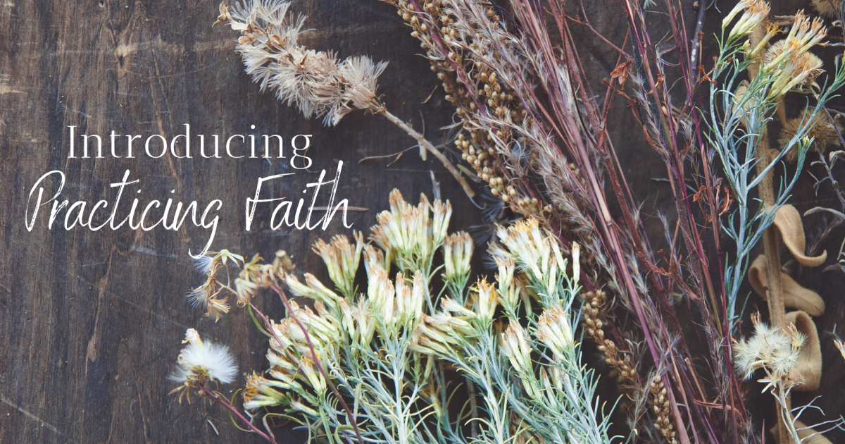 Introducing: Practicing Faith | The Deep Well Blog | Bay Life Church