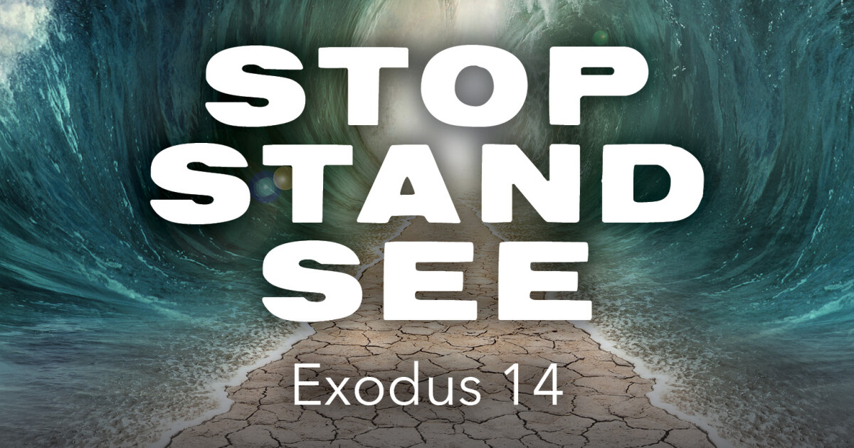 Stop. Stand. See. | Sermons | First Baptist Church Oxford