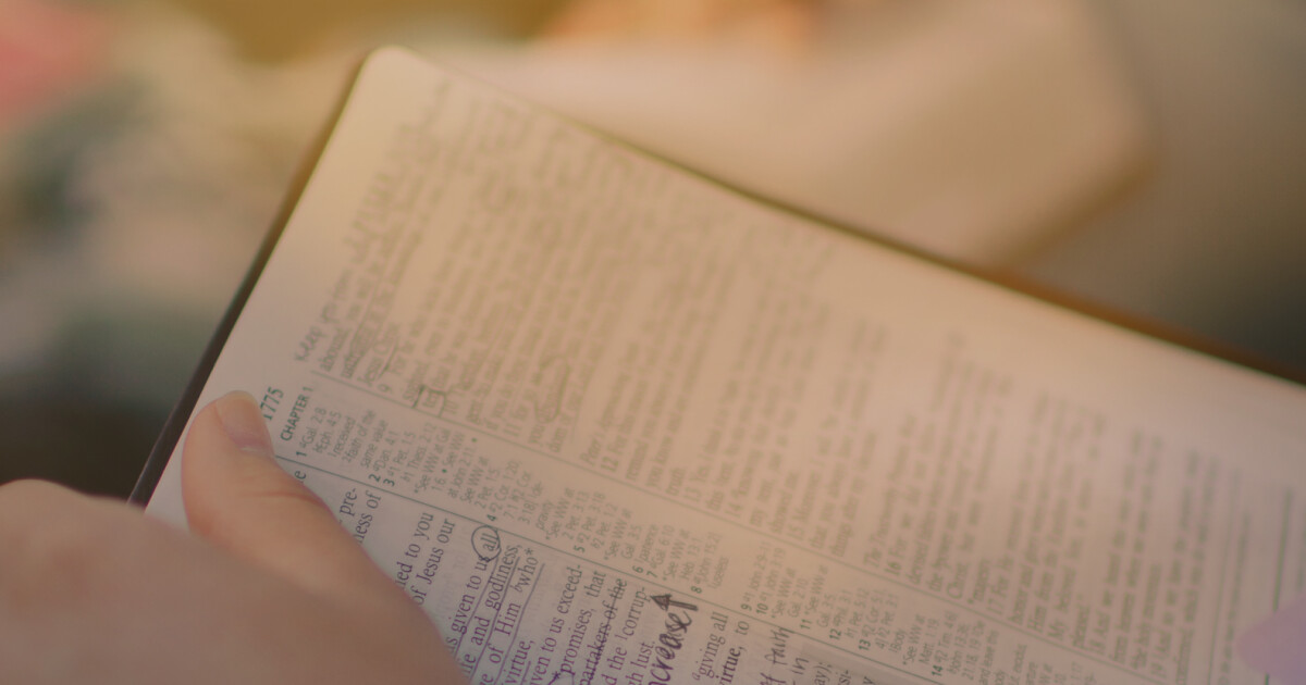 Bible Reading Plans | Redeemer Church