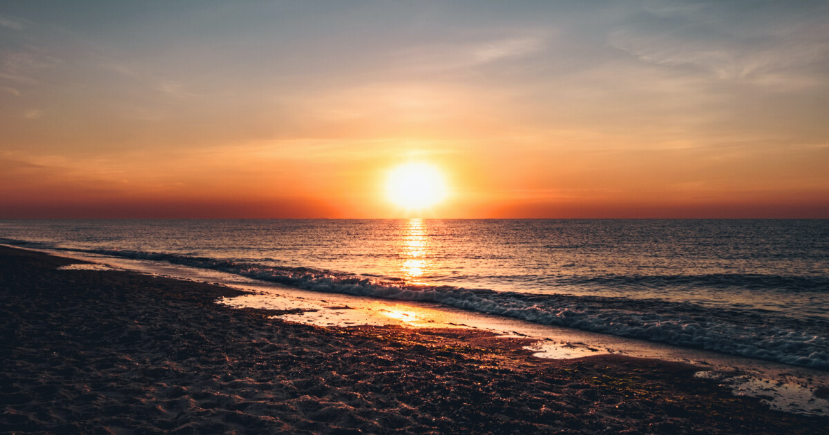 HUSHAI SWITCH-PITCH | Pastor's Devotions | New Hope Oahu