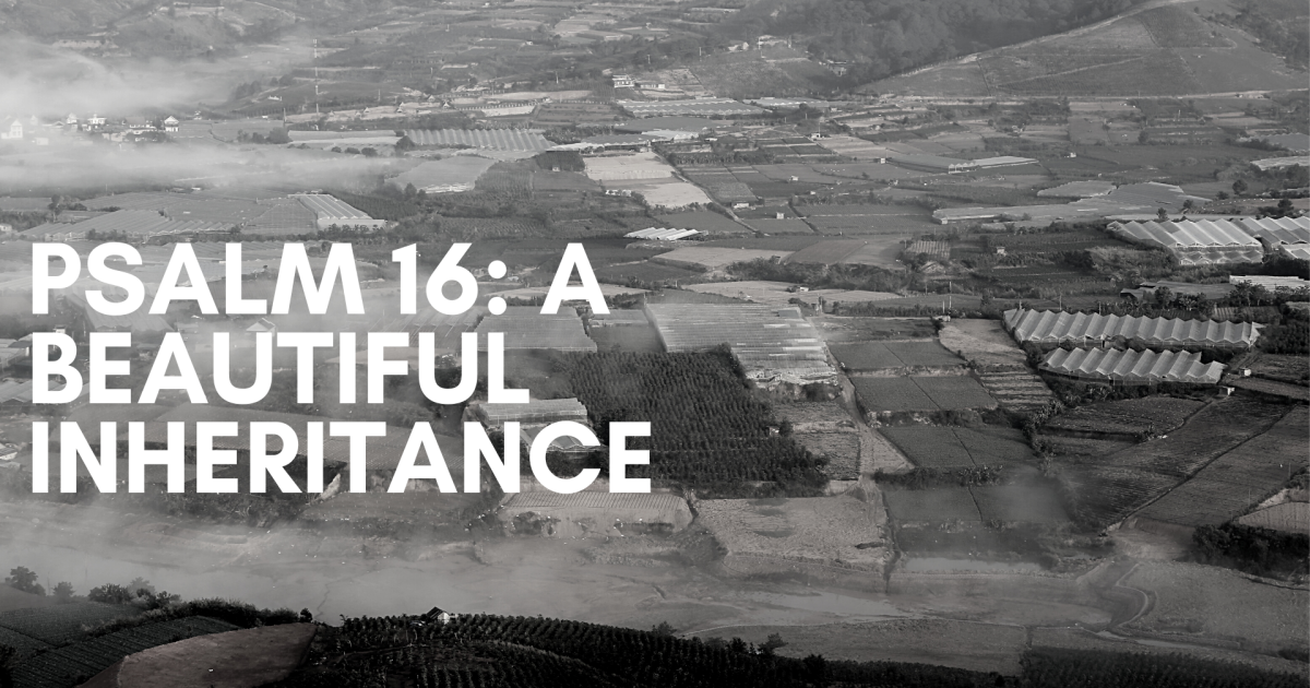 Psalm 16: A Beautiful Inheritance | The Deep Well Blog | Bay Life Church