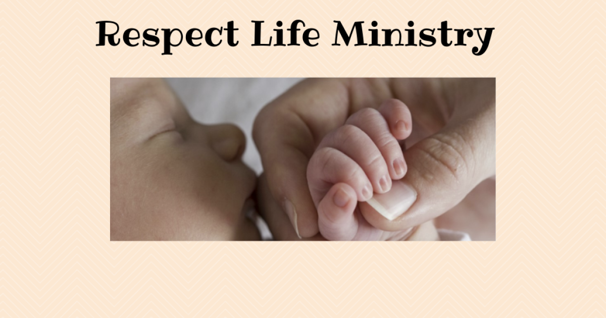 Respect Life Meeting | St Jude Catholic Church
