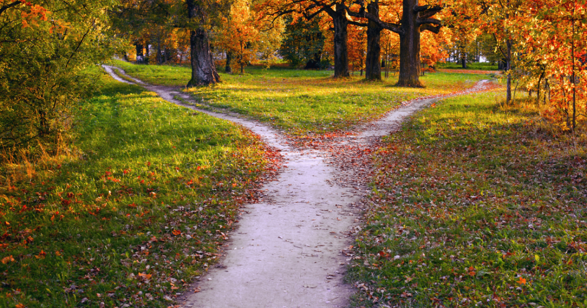 When the Path Diverges | Faith and Life | Leesburg United Methodist ...