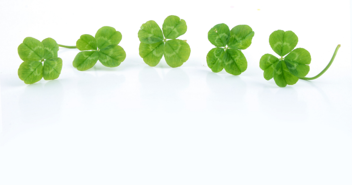 2021 CLOVER Survey | Following Our Shepherd | St. Malachy Catholic ...