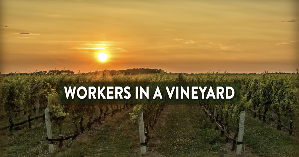 Short Stories, Big Lessons: Workers in the Vineyard | Sermons | Arcola ...