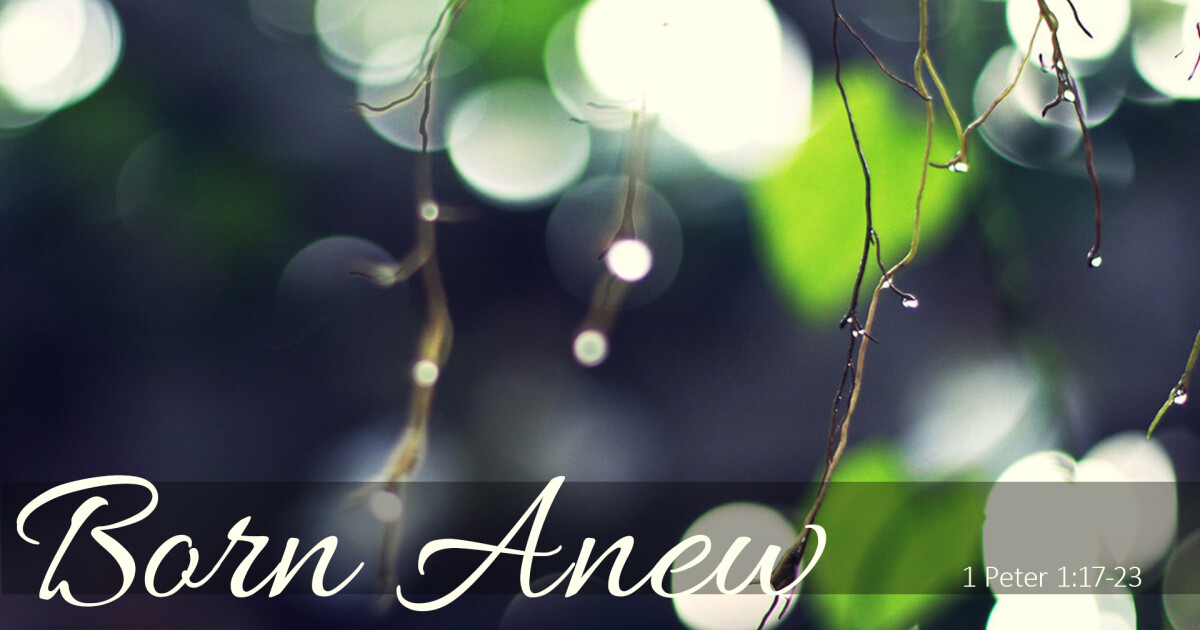 Born Anew | Sermons | FUMC Hurst TX