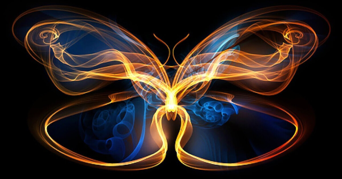 The Butterfly Effect | blog | FUMC Hurst TX