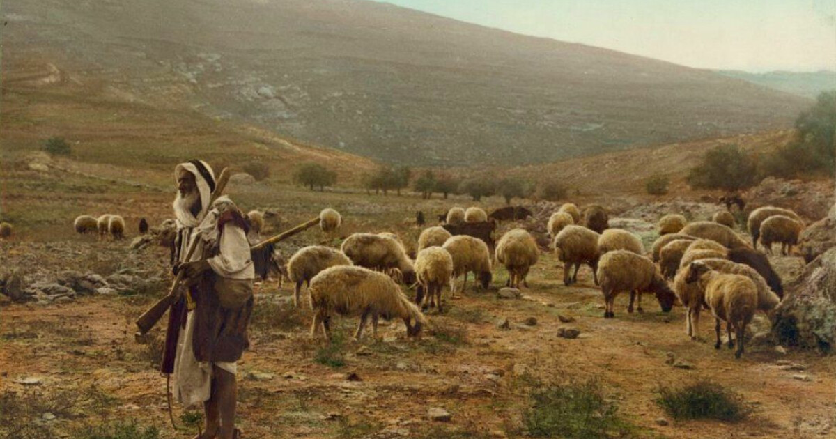 The Old Testament Cultural Gap | Christ and Culture | Anchorage Grace ...