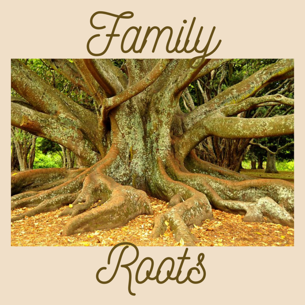 Sermons | Green Lawn Church of Christ