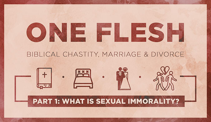 ONE FLESH BIBLICAL CHASTITY MARRIAGE DIVORCE PART 1 WHAT IS SEXUAL ...