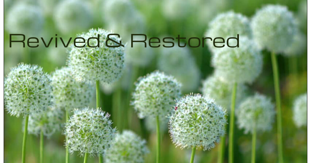 Revived and Restored | Sermons | The Point Christian Fellowship