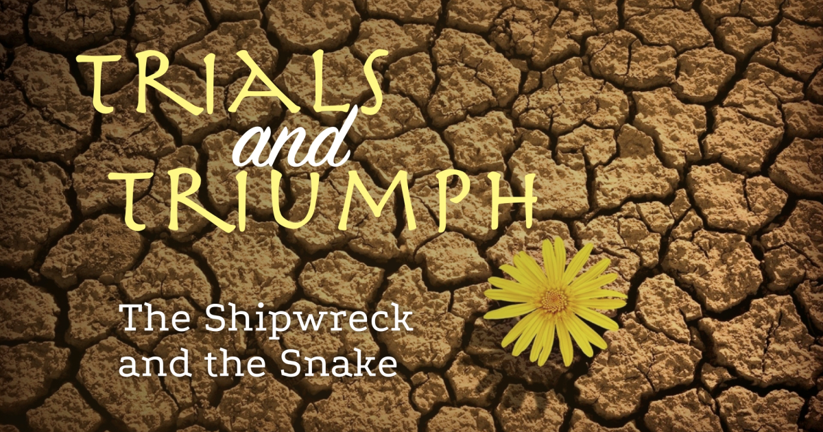 The Shipwreck and the Snake | Sermons | Adams Farm Community Church