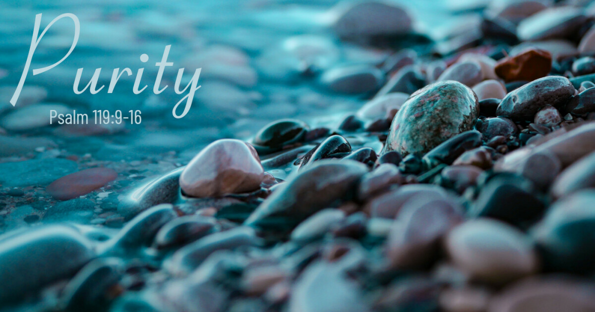 Purity: Our Activity | Sermons | Prairie Hill Evangelical Free Church